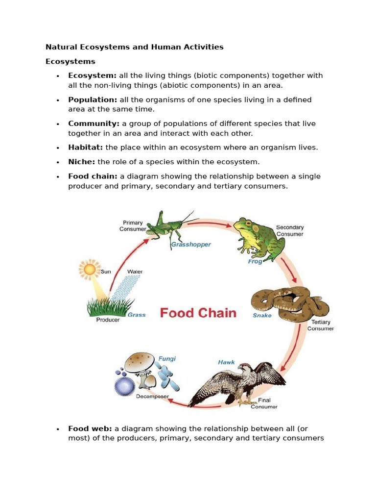Ecosystems: Impact of Human Activities | PDF | Ecosystem | Food Web