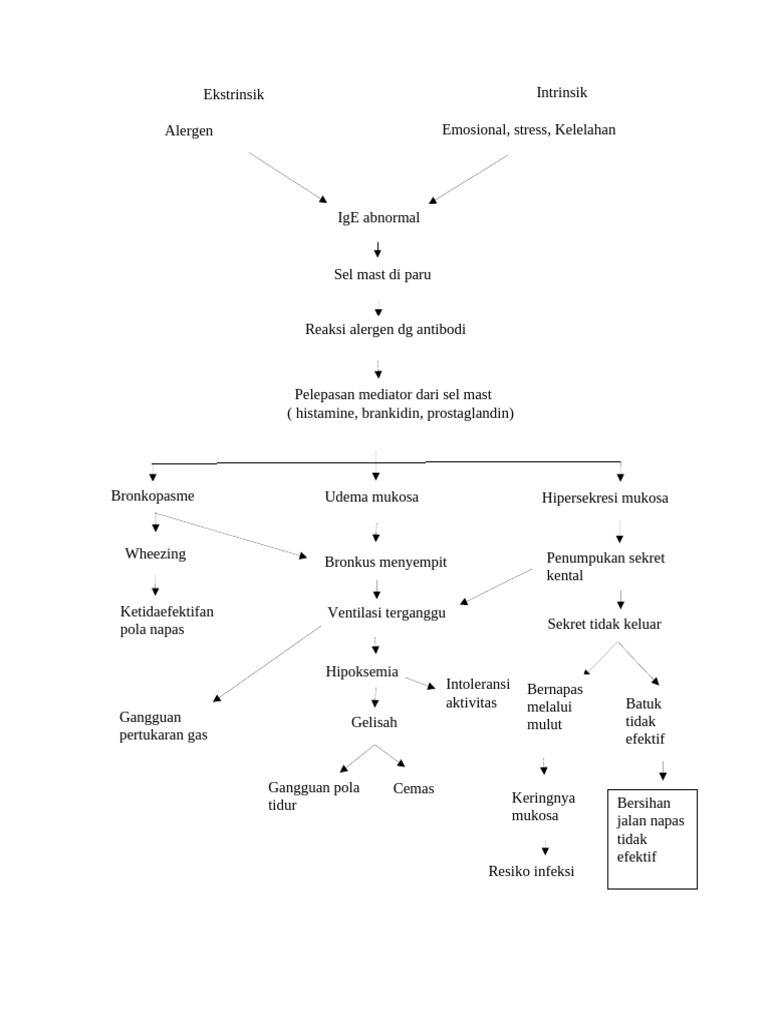 PATHWAY ASMA BROKIAL | PDF