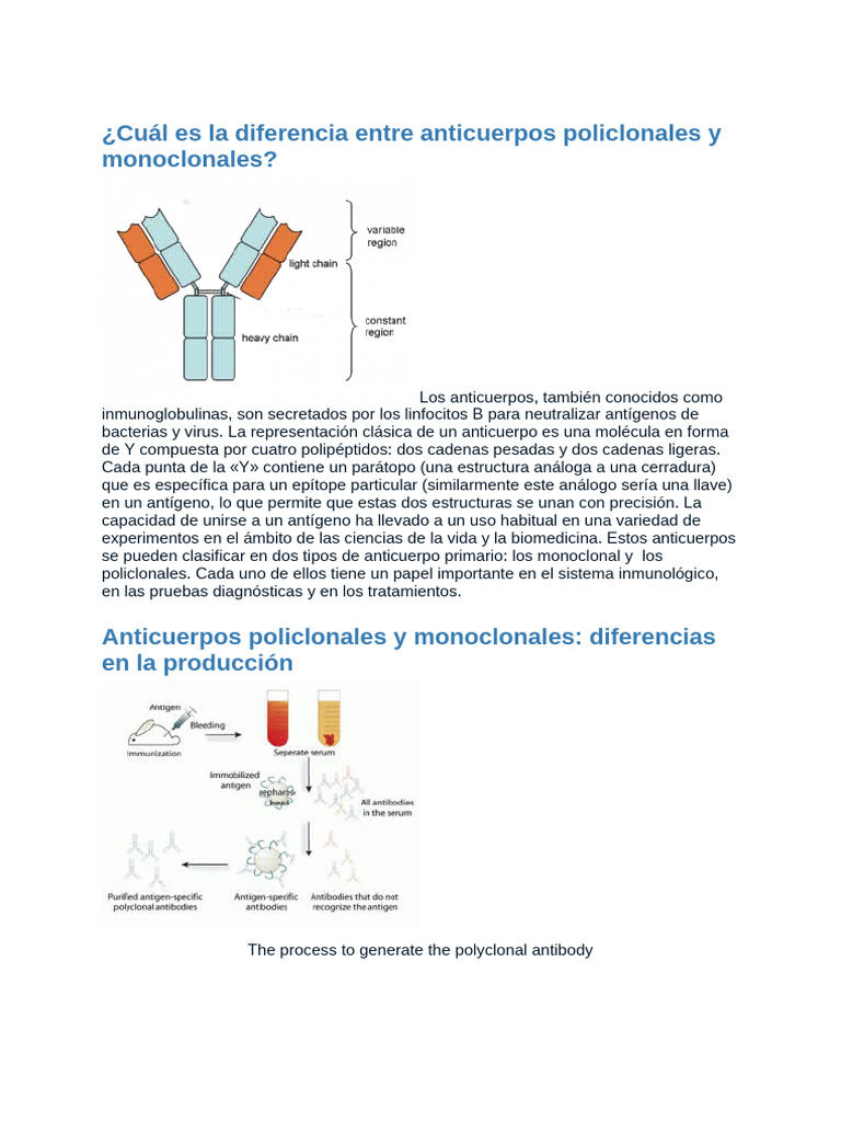 ¿Cuál Es La Diferencia Entre Anticuerpos Policlonales y Monoclonales? | PDF | Anticuerpo ...