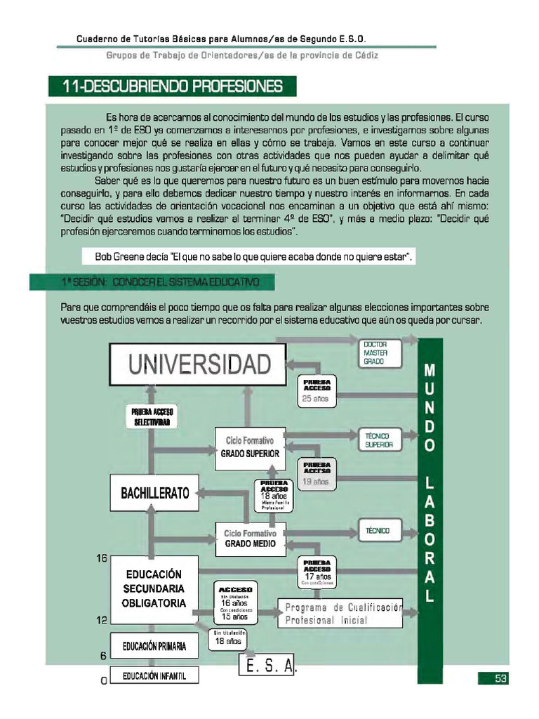 Conociendo Profesiones | PDF