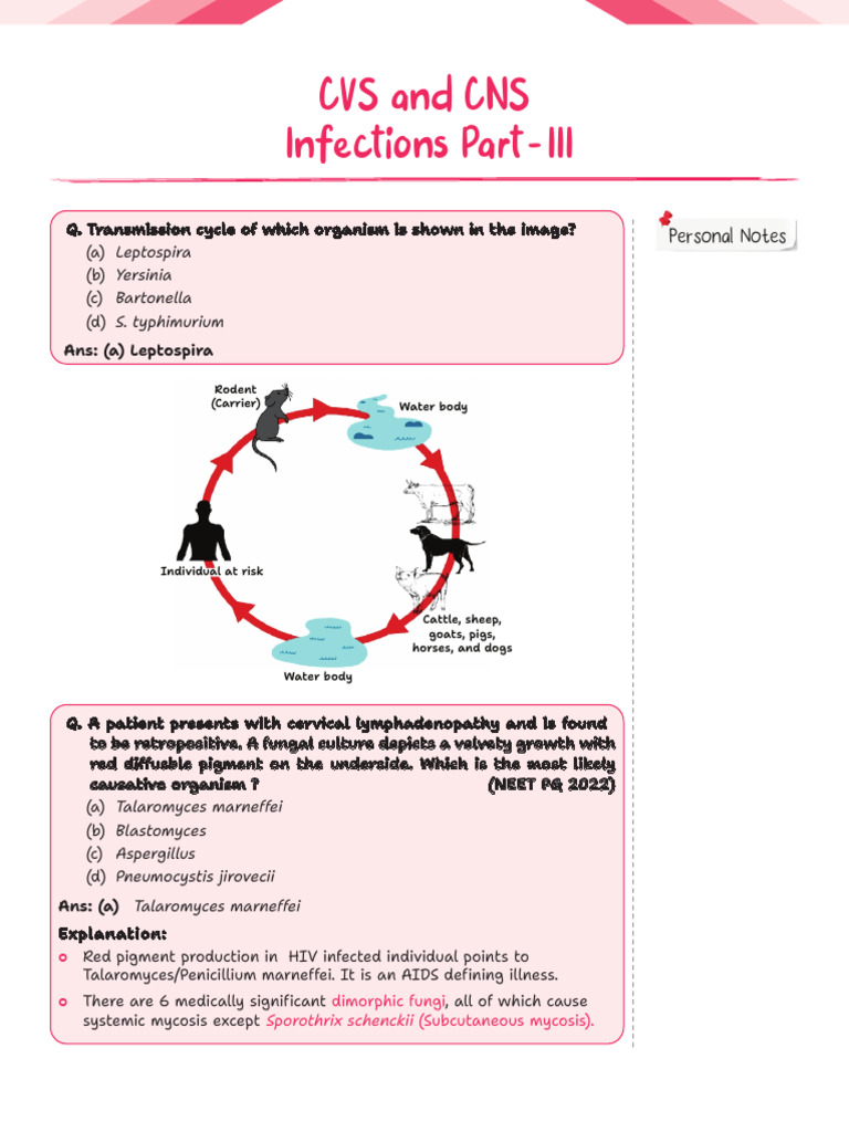 CVS and CNS Infections Overview | PDF | Animal Diseases | Microbiology