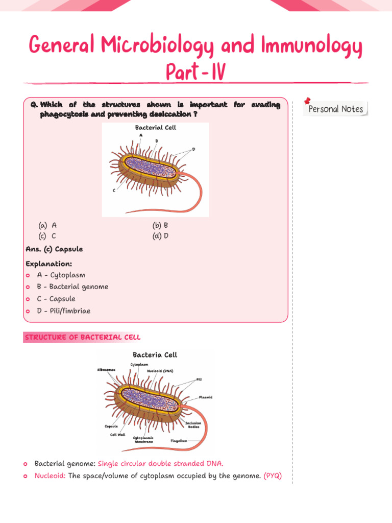 Microbiology and Immunology Study Notes | PDF | Allergy | Antigen