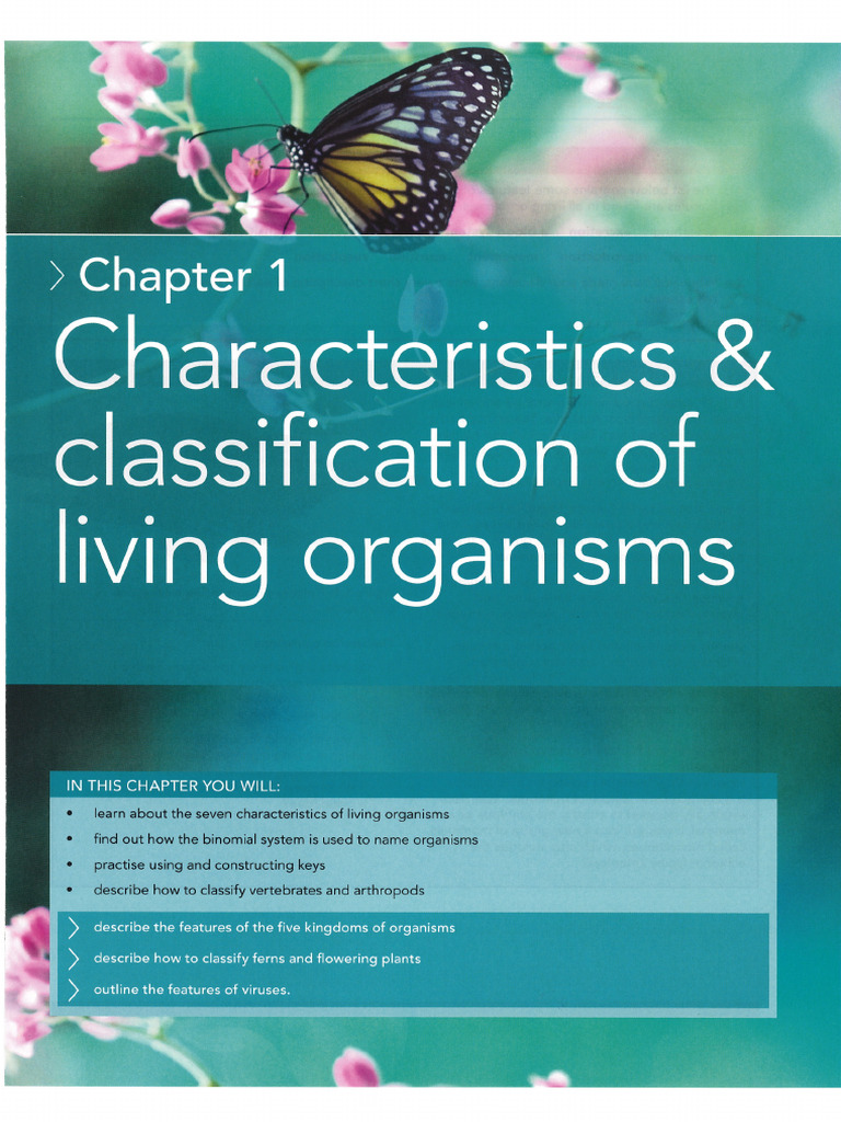 Chapter 1 | PDF