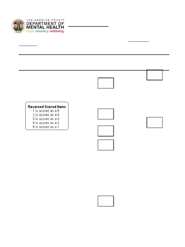 DERS Hand ScoreTemplate2020 | PDF | Human Development | Psychology