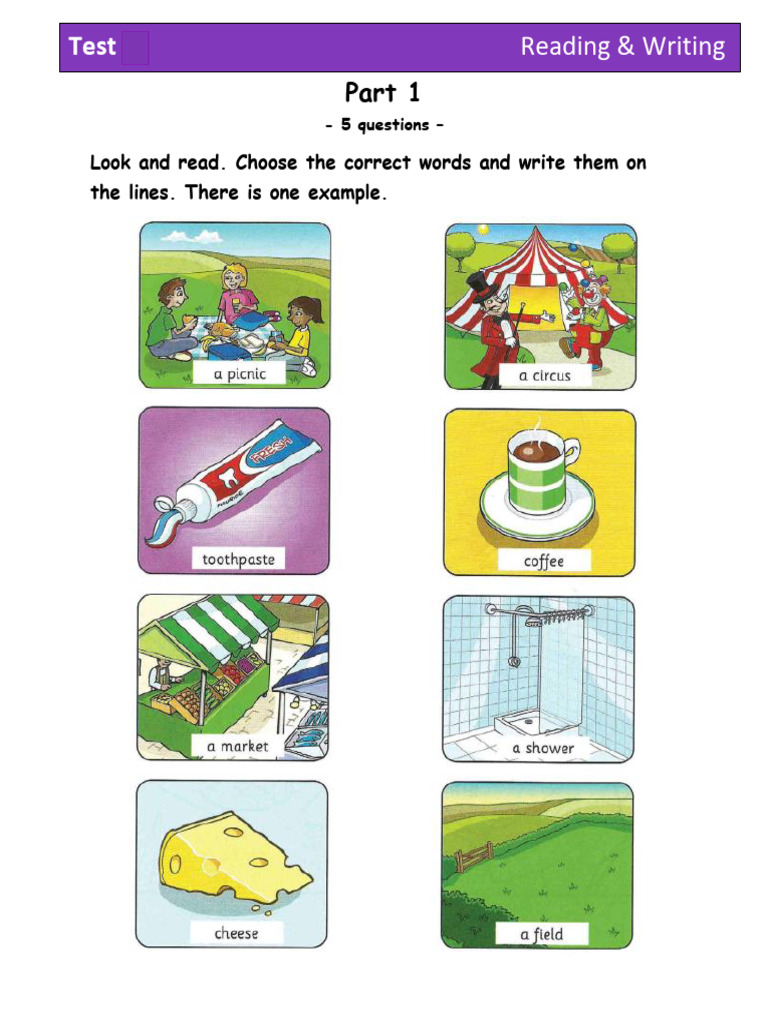 Movers Reading & Writing Test 2023 | PDF | Dolphin