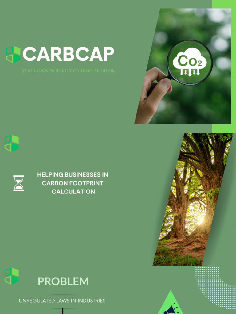 Carbcap Auditor | PDF