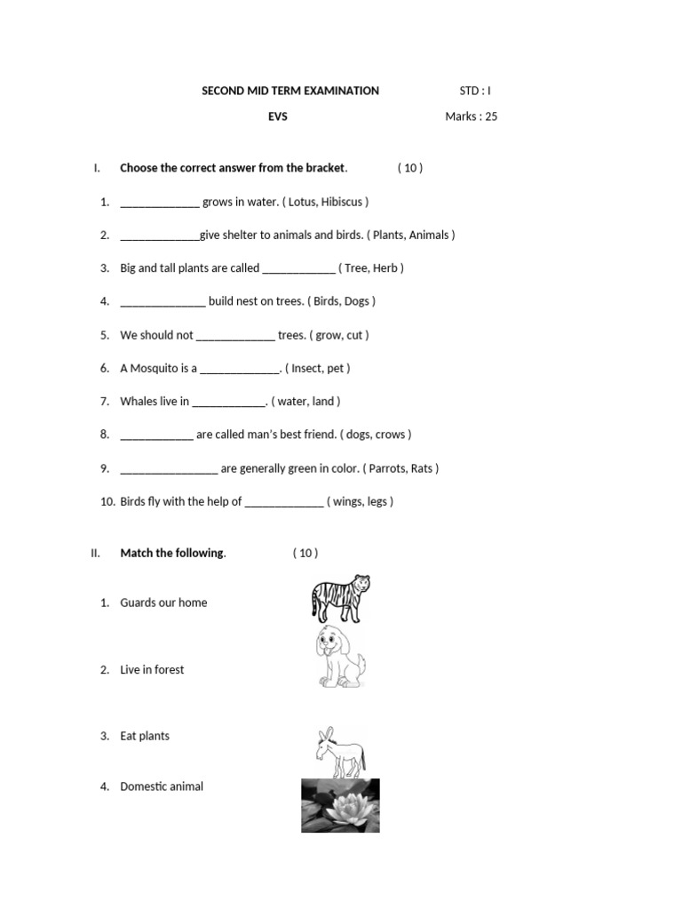 Second Mid Term Examination Evs STD I | PDF