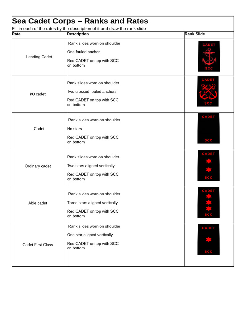 Sea Cadet Lesson 1 Worksheet Answers Cadet Ranks | PDF