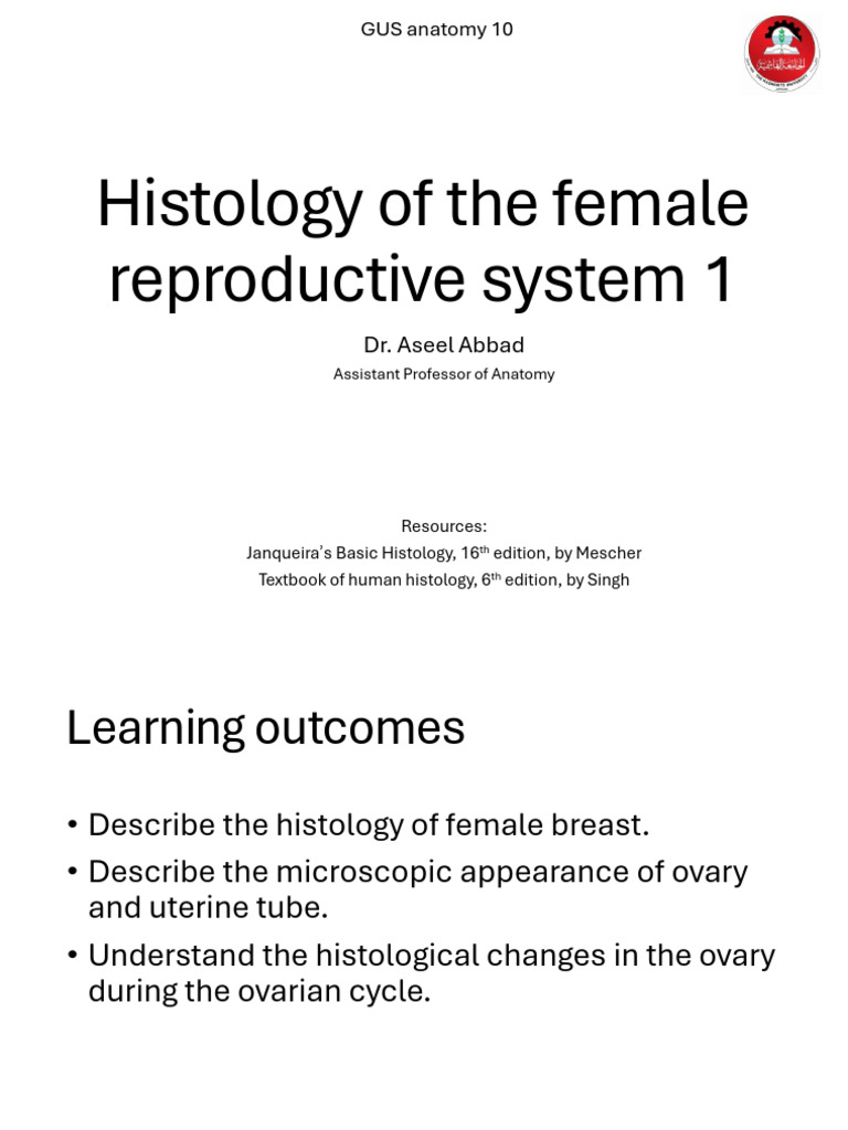 GUS anatomy 10 - female reproductive system 3 - histo 1 - version 2 | PDF | Ovary | Meiosis