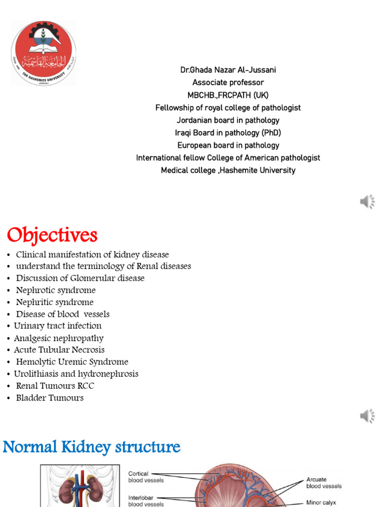 FIRST LECTURES (159 Slides) of Renal Pathology Power Point 2025 NEWEST ...