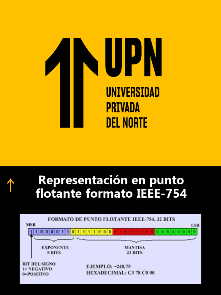 TEO - Semana 04 Representacion en Formato IEEE 754 | PDF | Poco | Byte