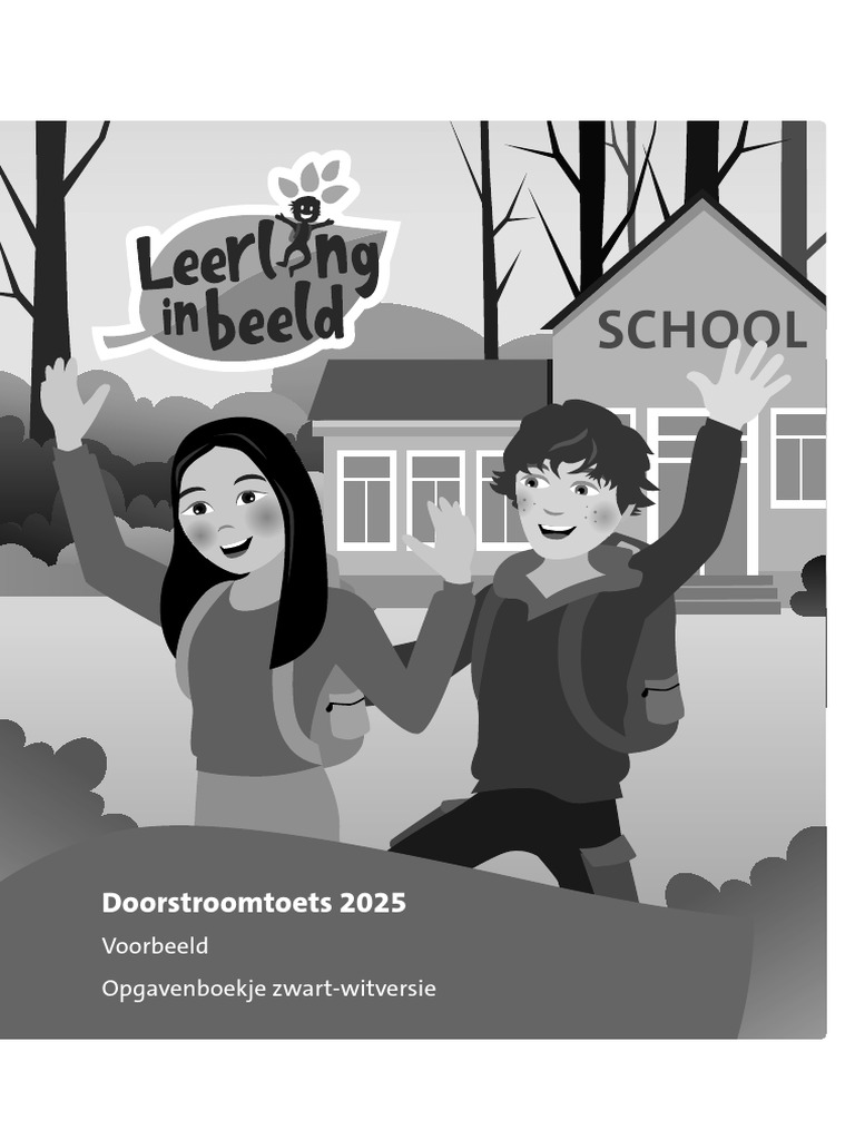 Lib DST Voorbeeldopg 2025 ZW | PDF