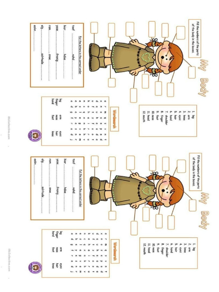 Body Parts Worksheet | PDF
