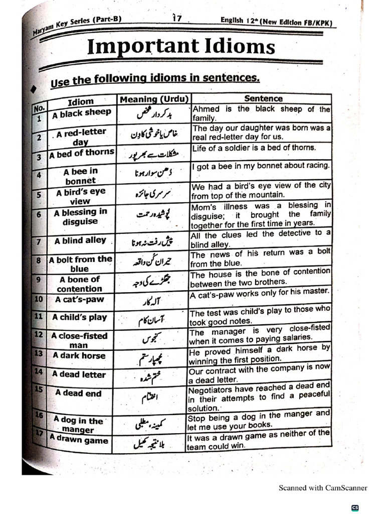 Important Idioms | PDF