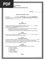 Kontrate Pune Individuale | PDF