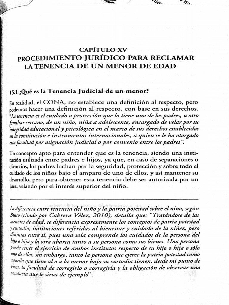 Procedimiento para Reclamar Tenencia de Menor | PDF | Juez ...
