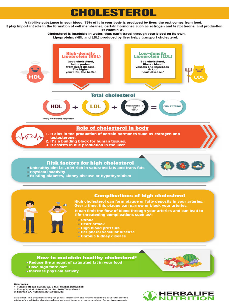 Understanding Cholesterol: Types and Risks | PDF | Cholesterol | High ...
