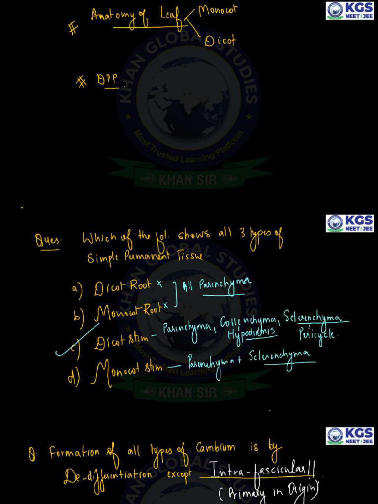 M 250 DAYS NEET BOTANY LEC 107 Anatomy of Flowering Plants DPP Discussion | PDF