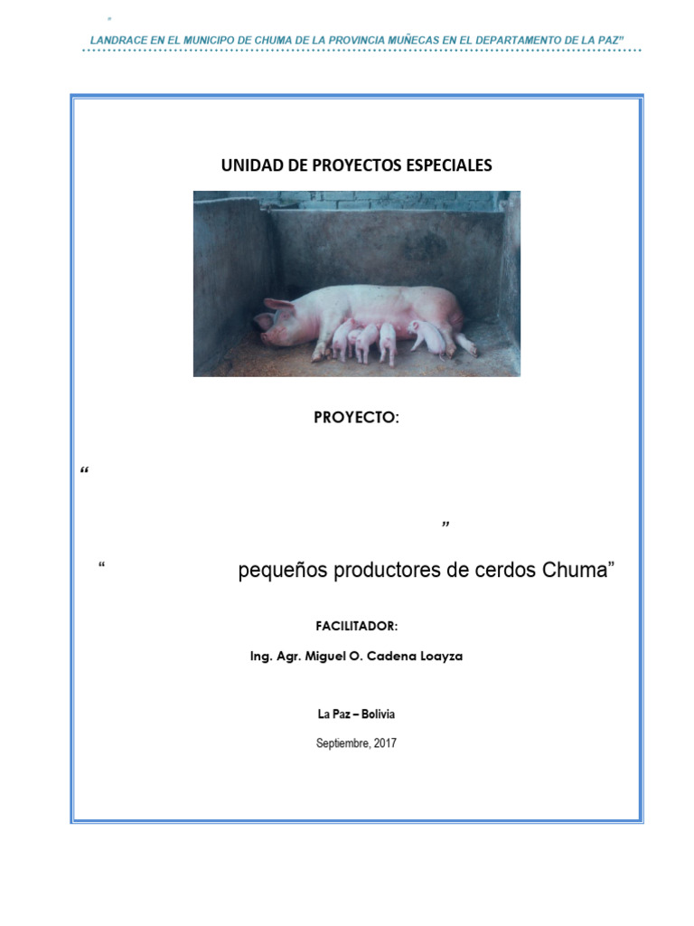 Cerdos | PDF | Cerdo | Agricultura