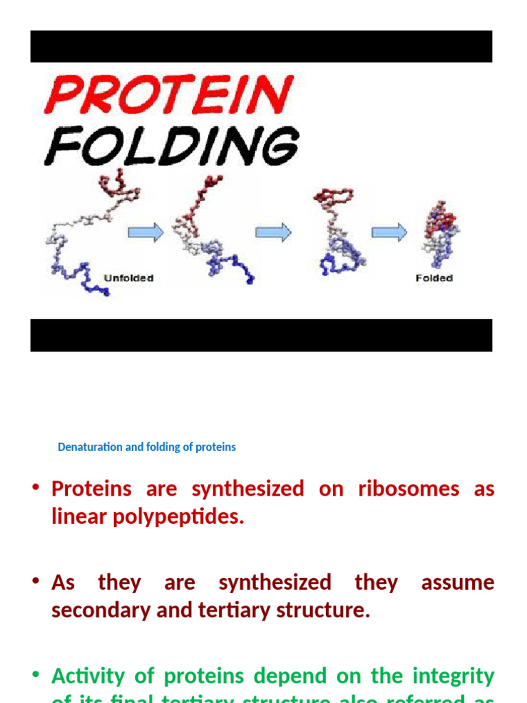 Biochemistry Folding and Misfolding of Proteins | PDF | Protein Folding | Amyloid