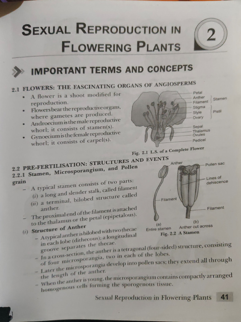 Biology Chapter 1 PDF Class 12 | PDF | Horticultural Techniques | Plant ...