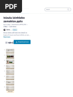 Amabizo Summary Applied African Language Zulu | PDF