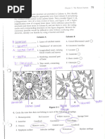 The Skeletal System Answer Key | PDF