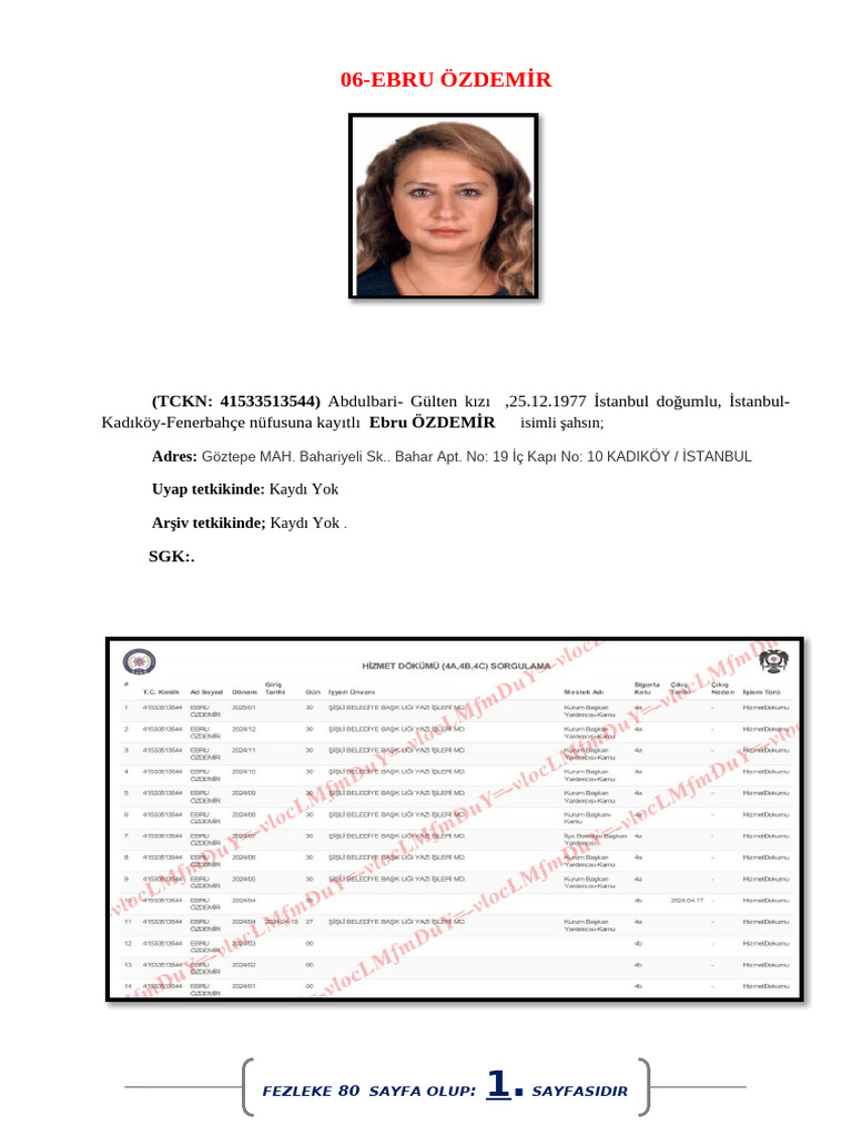 6-Ebru Özdemi̇r 2 | PDF