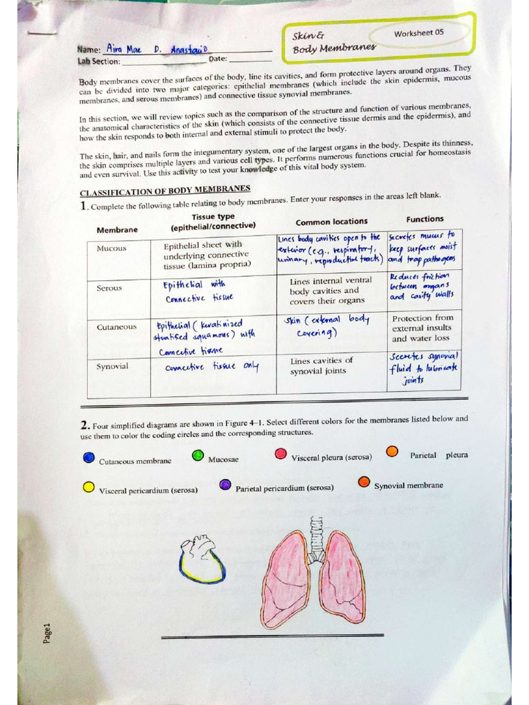 HAP-Worksheet 5 | PDF