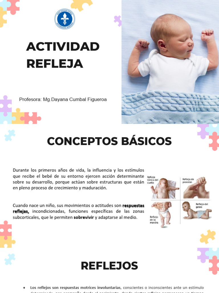 Reflejos y Desarrollo Motor en Bebés | PDF | Cerebro | Sistema ...