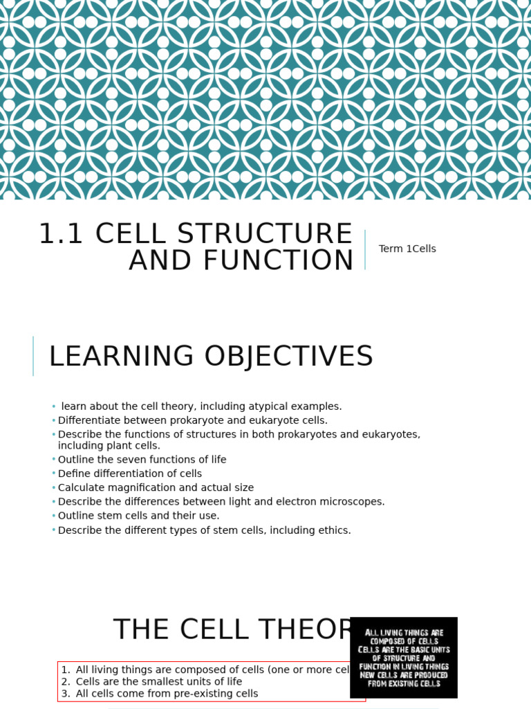 1.1 Cell Structure and Function | PDF | Cell (Biology) | Stem Cell