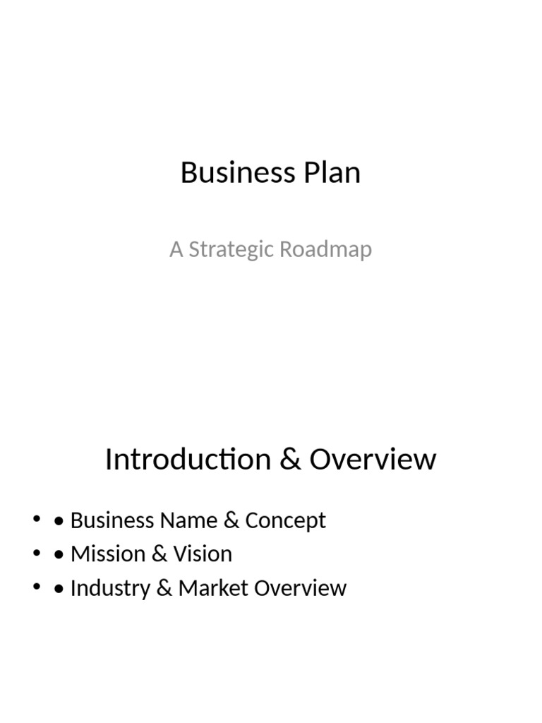 Business Plan Overview and Strategy | PDF
