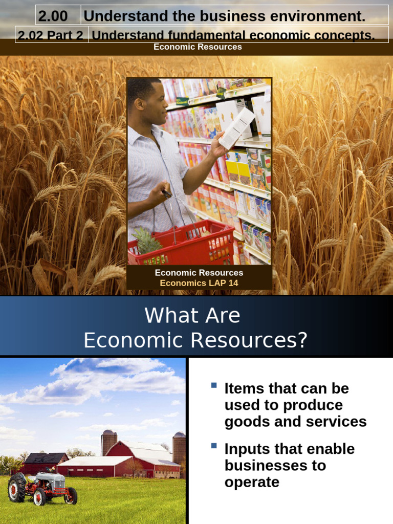 BF10 2.02 Business Essentials Part 2 | PDF | Factors Of Production | Capital (Economics)