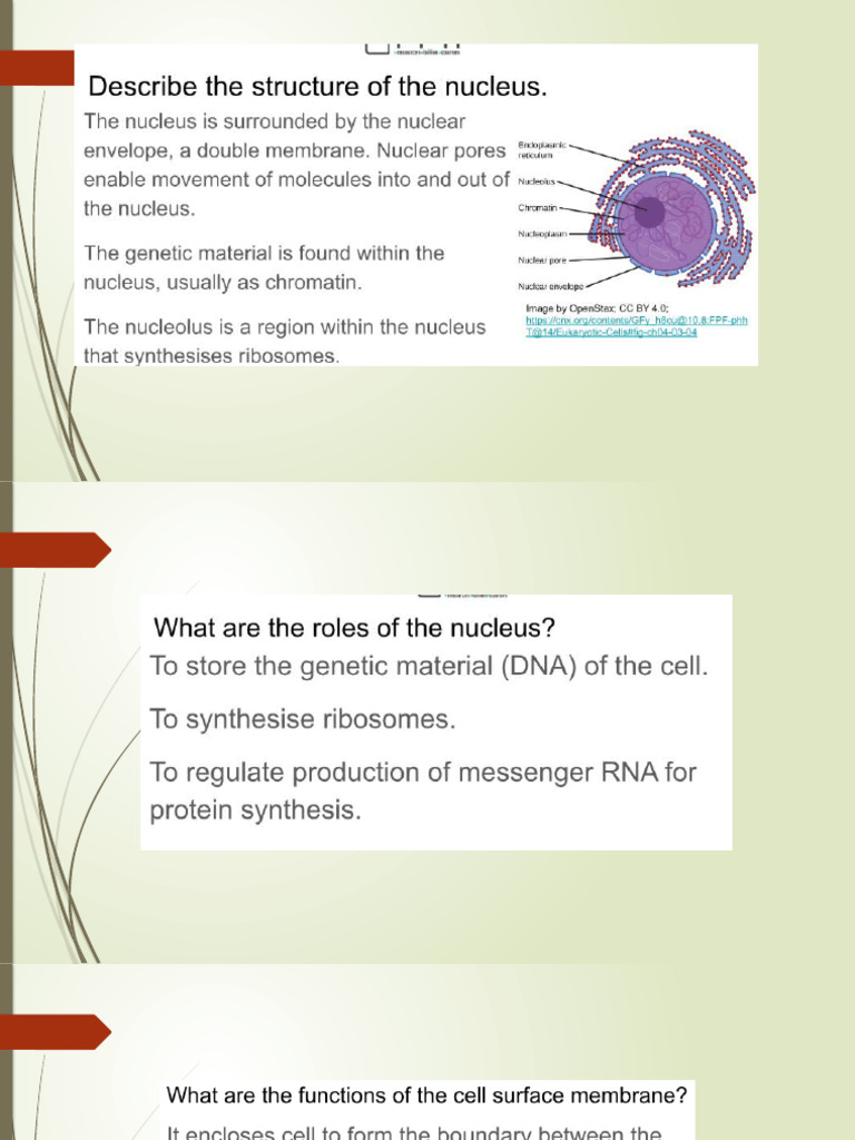Centriole and Chloroplast | PDF | Microtubule | Cell (Biology)