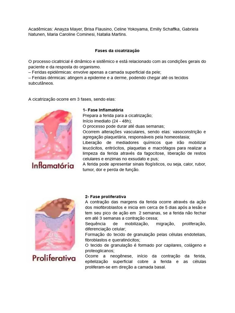 Fases da Cicatrização de Feridas | PDF | Cura | Biologia Celular