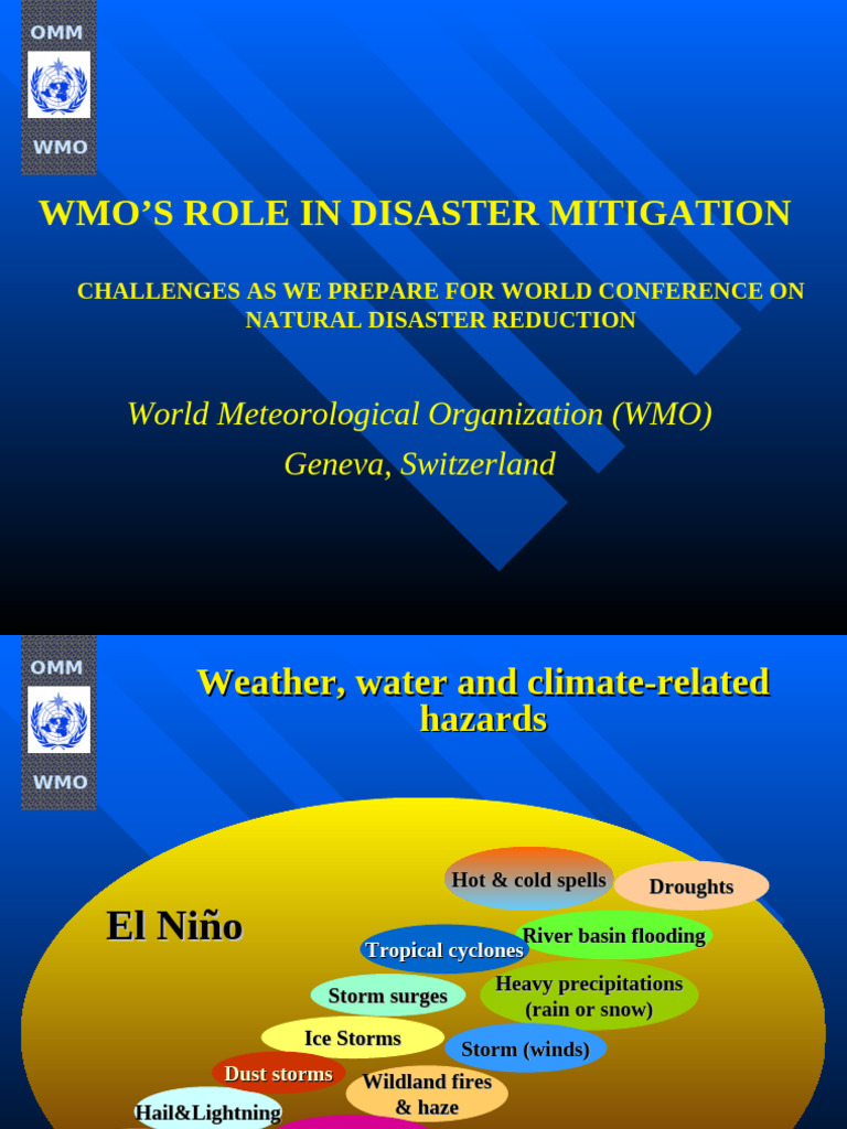 WMO's Role in Disaster Mitigation Strategies | PDF | Emergency ...