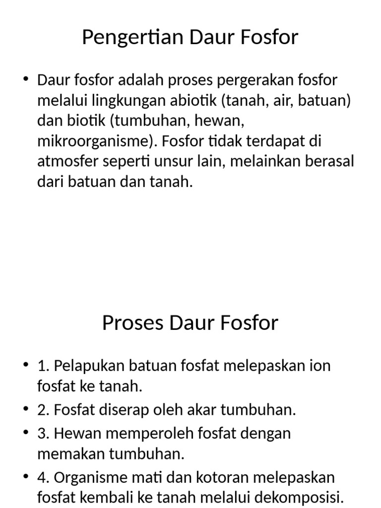 Materi Daur Fosfor | PDF