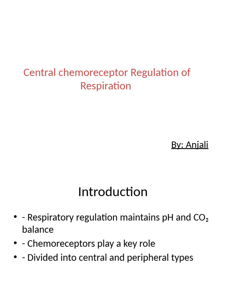 Central Chemoreceptors in Respiration | PDF