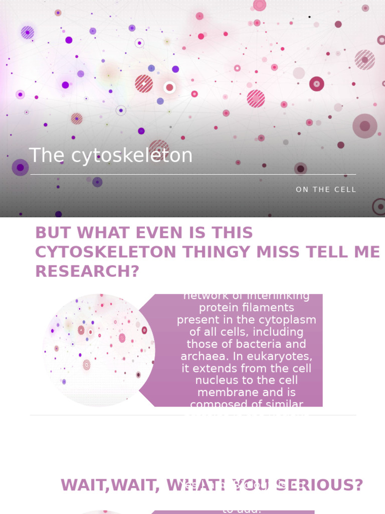 Understanding the Cytoskeleton's Role | PDF