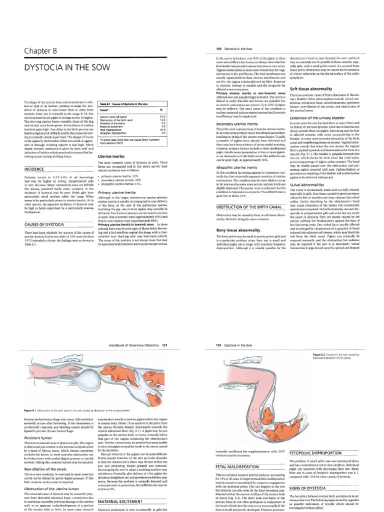 Dystocia Sow and Dog (2) | PDF | Vagina | Childbirth