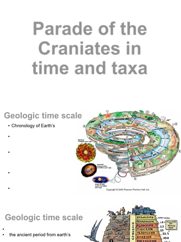 Parade of The Craniates in Time and Taxa 1 | PDF | Amphibian | Geologic ...