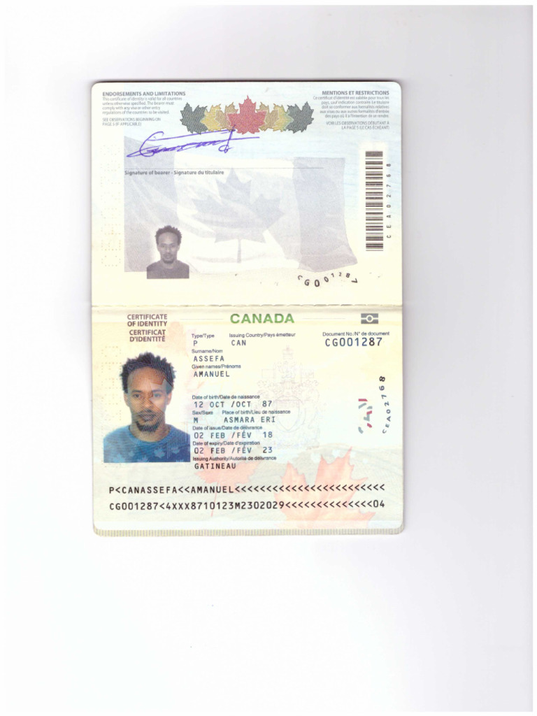 Assefa Amanuel Travel | PDF