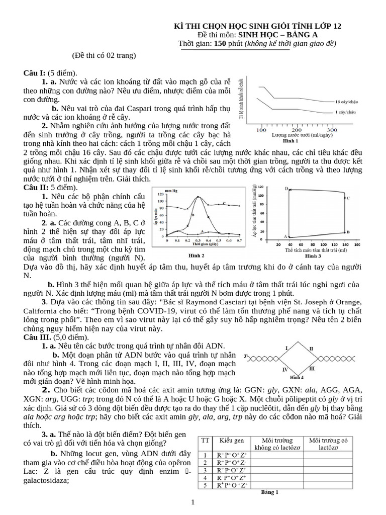 Bang A - de CT | PDF