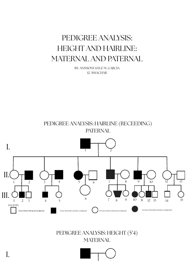 Pedigree Analysis Hairline (Receeding) | PDF | Heredity | Biology