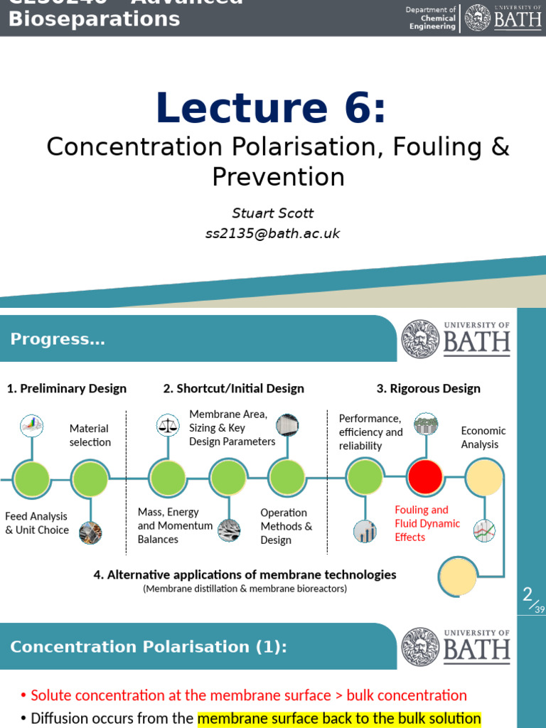 Membrane Fouling Prevention Strategies | PDF | Membrane | Applied And Interdisciplinary Physics