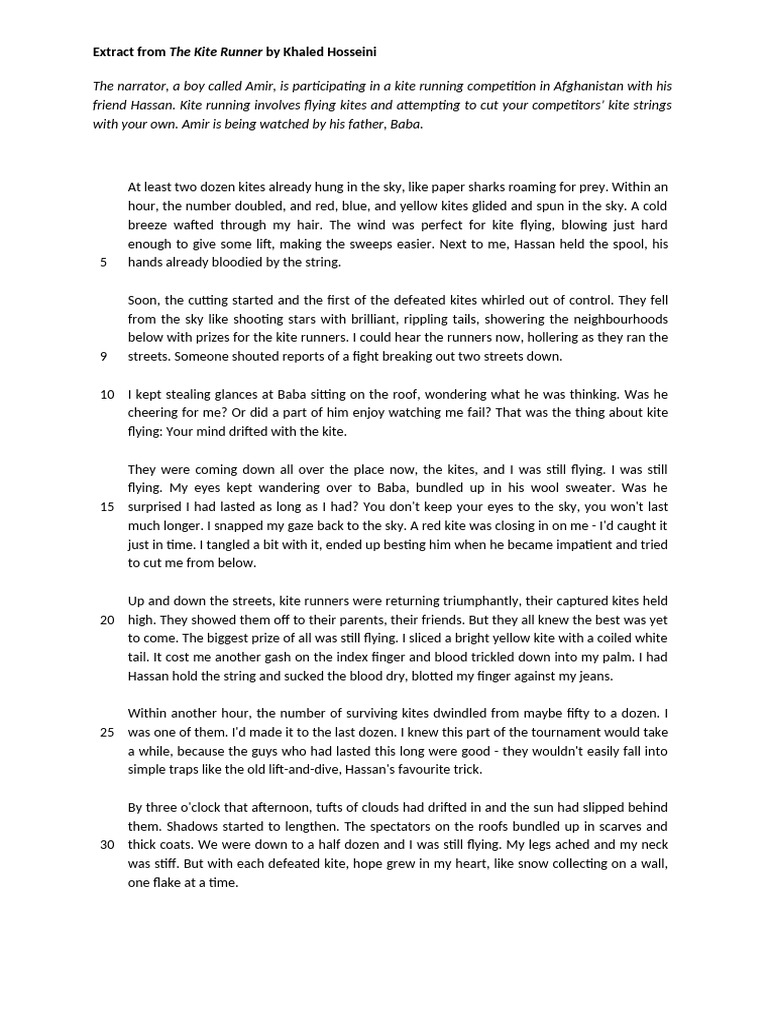 Kite Running Competition Excerpt | PDF