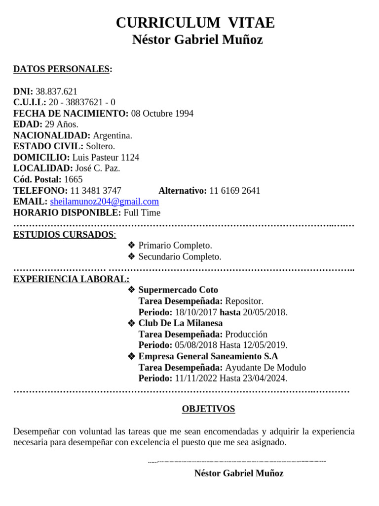 CURRICULUM VITAE - Néstor Gabriel Muñoz | PDF