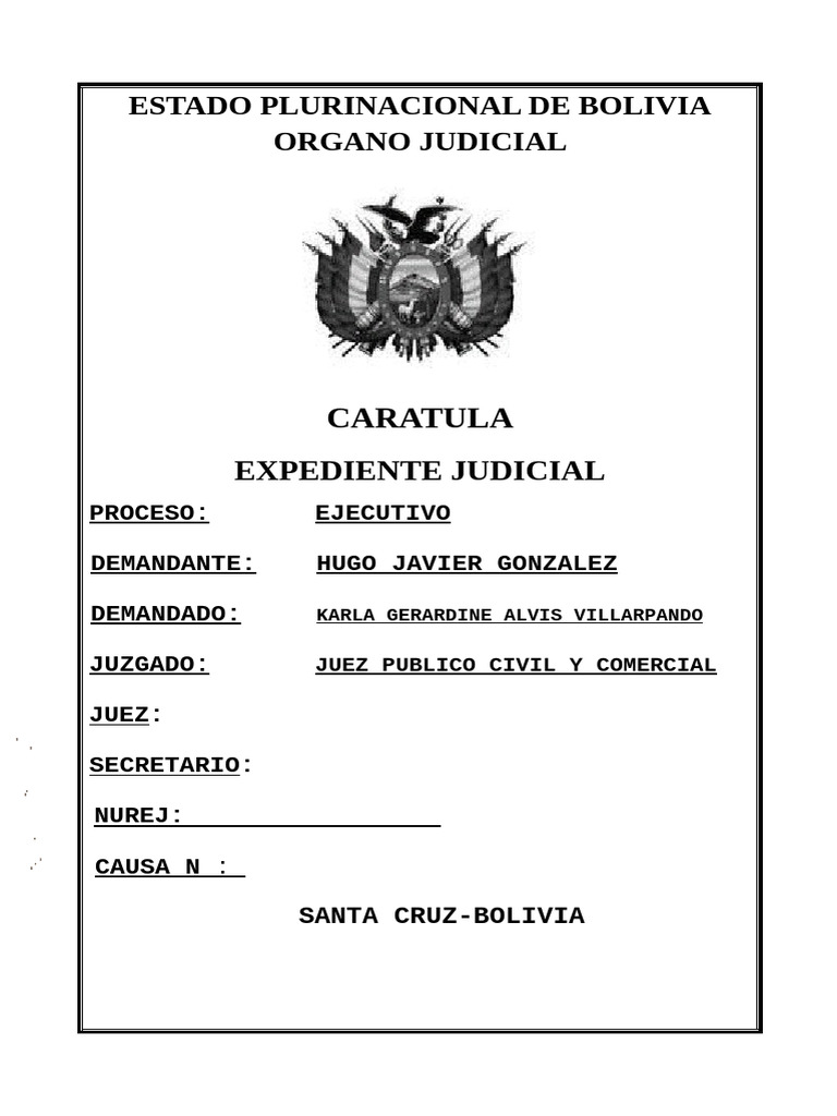 Caratula Judicial Ingreso de Demanda | PDF