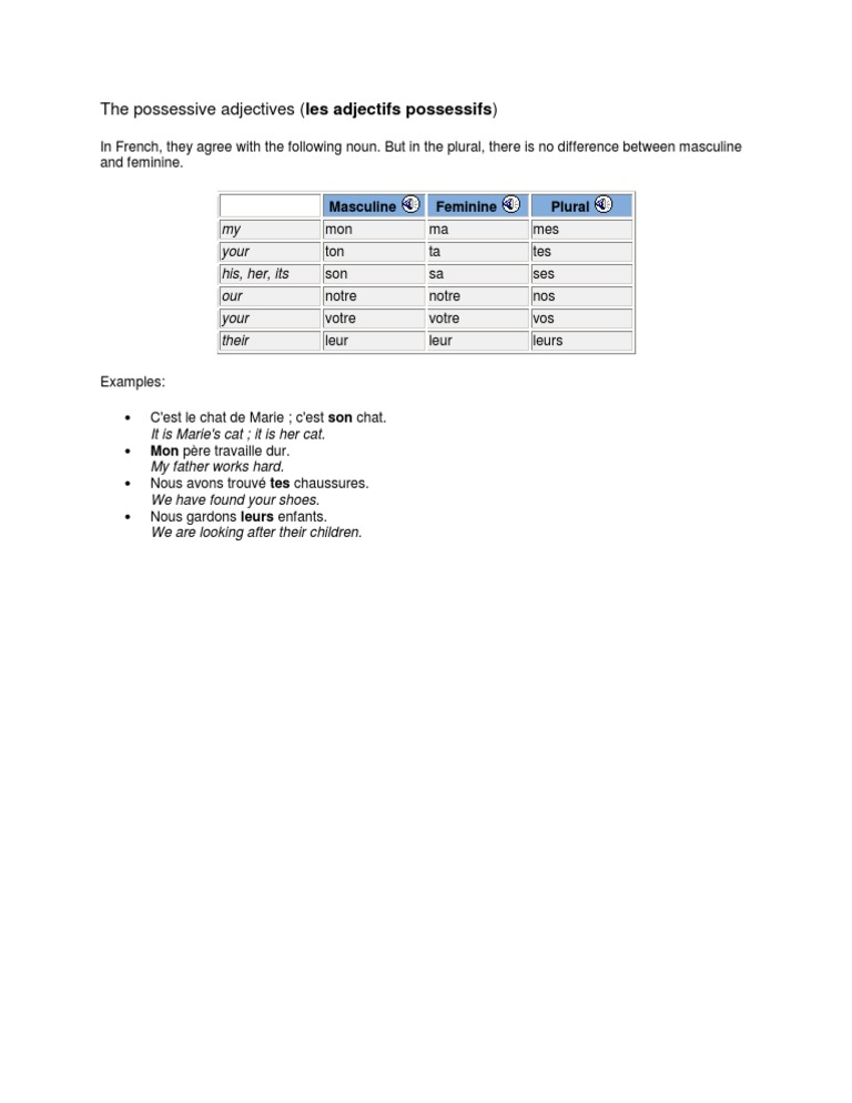 French Possessive Adjectives Guide | PDF