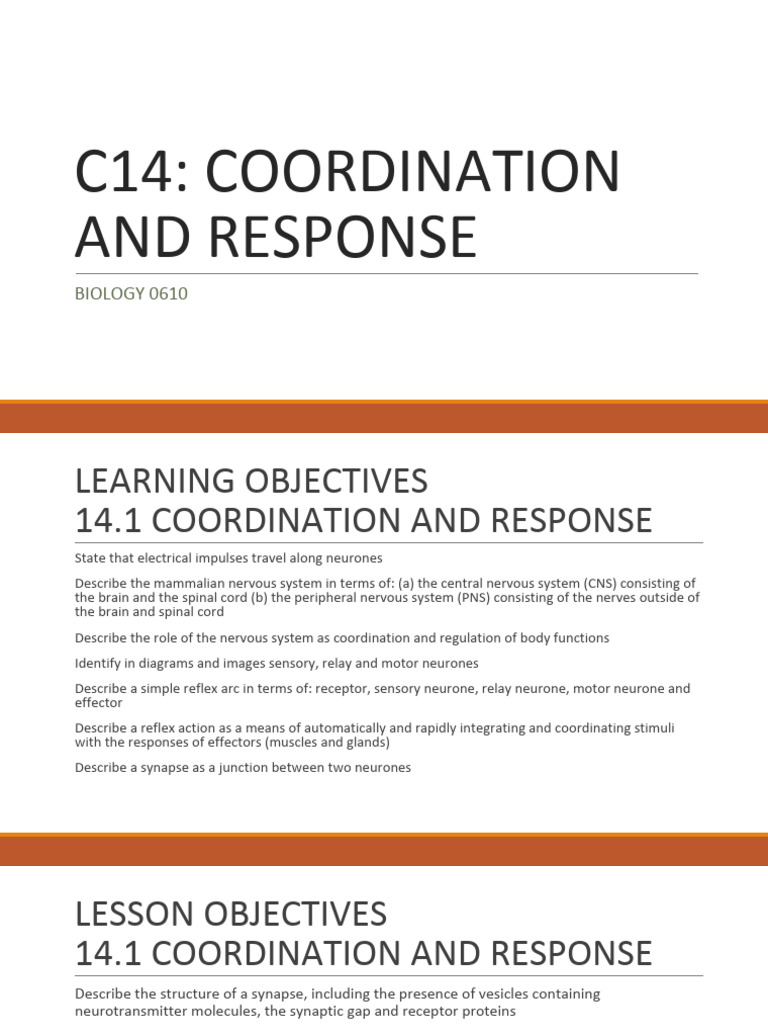 Chapter 14 Coordination and Response | PDF | Nervous System | Synapse
